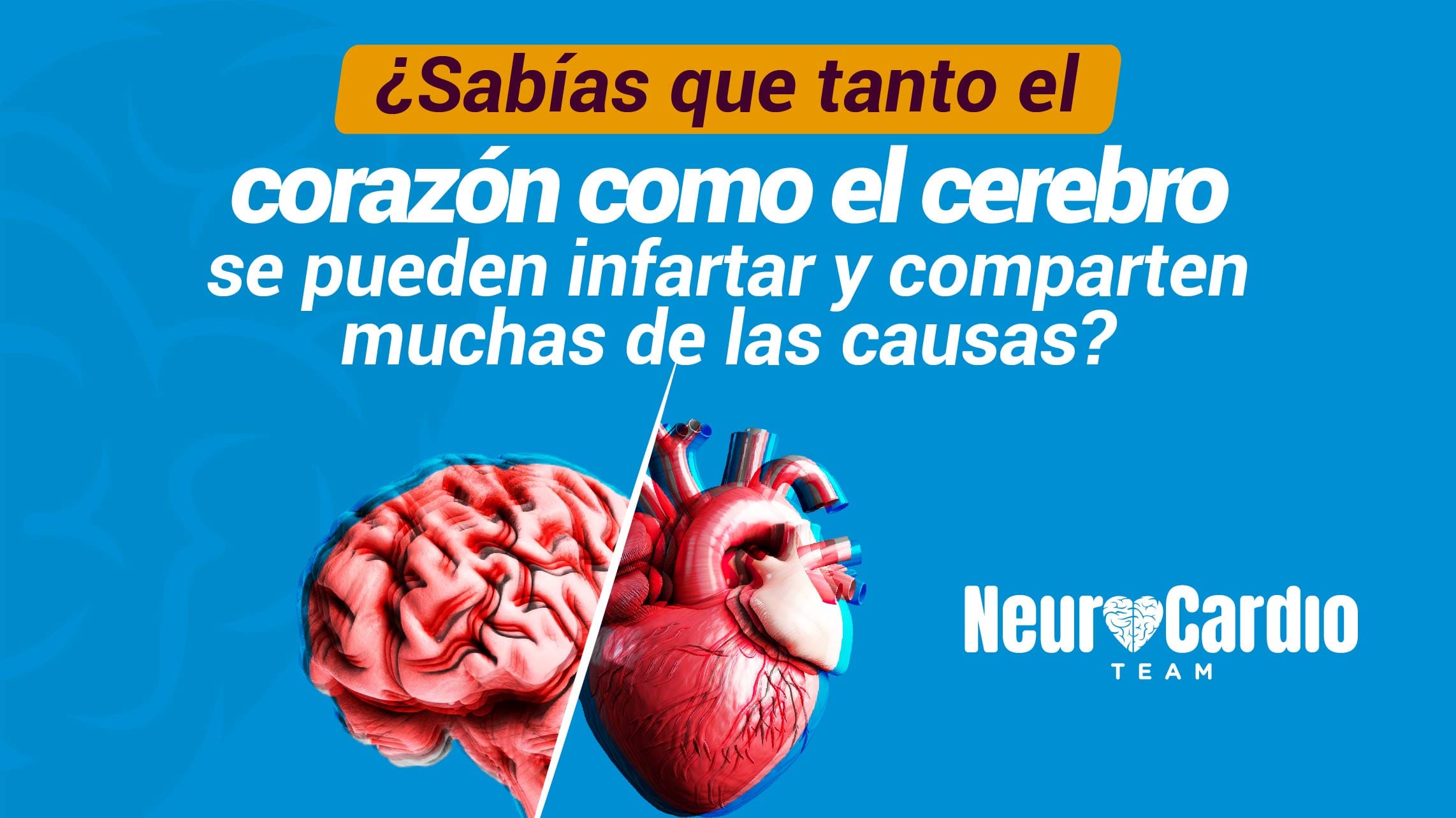 ¿Sabías que tanto el corazón como el cerebro se pueden infartar y ...