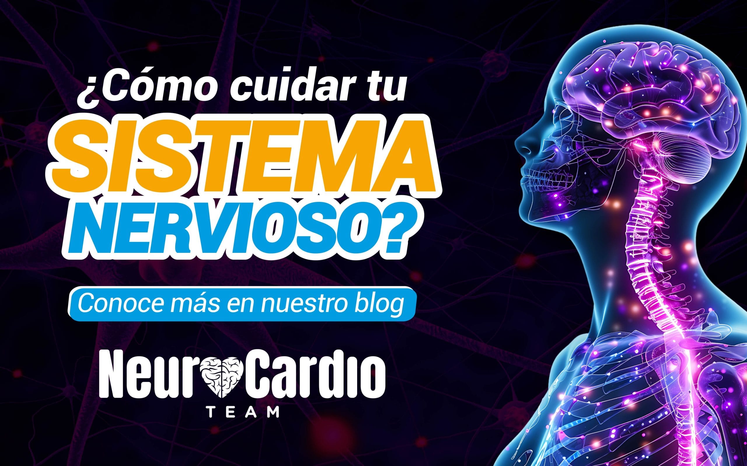 ¿Cómo cuidar tu sistema nervioso? - Neuro Cardio Team