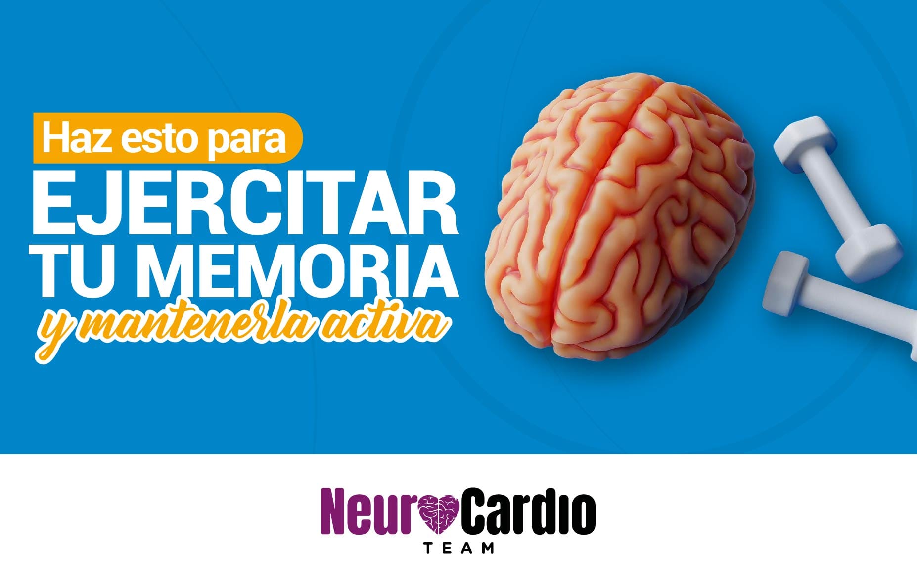 Haz esto para ejercitar tu memoria y mantenerla activa - Neuro Cardio Team